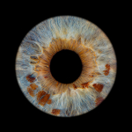 Prijzen voor iris fotografie en iris art kunstwerken